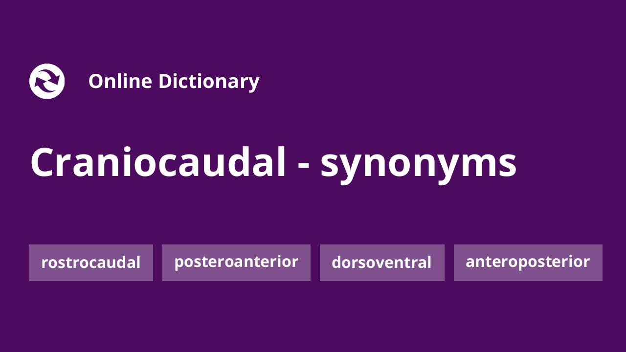 Craniocaudal - synonyms, pronunciation, definition, meaning, examples ...