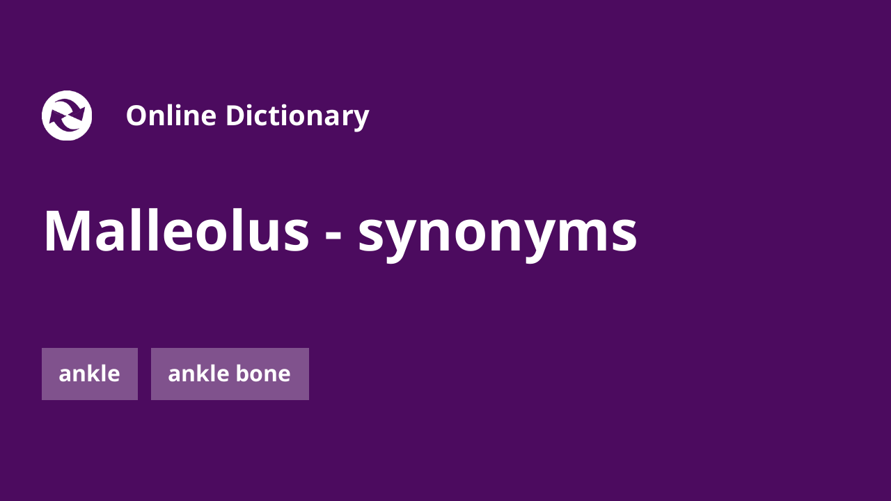 Malleolus - synonyms, pronunciation, definition, meaning, examples ...